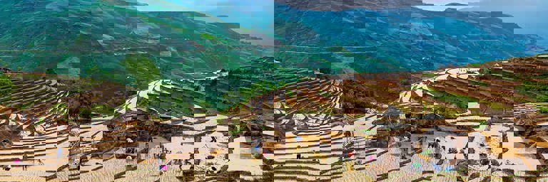 Food Nature And Health Transitions Repeatable Country Models Bain And Company